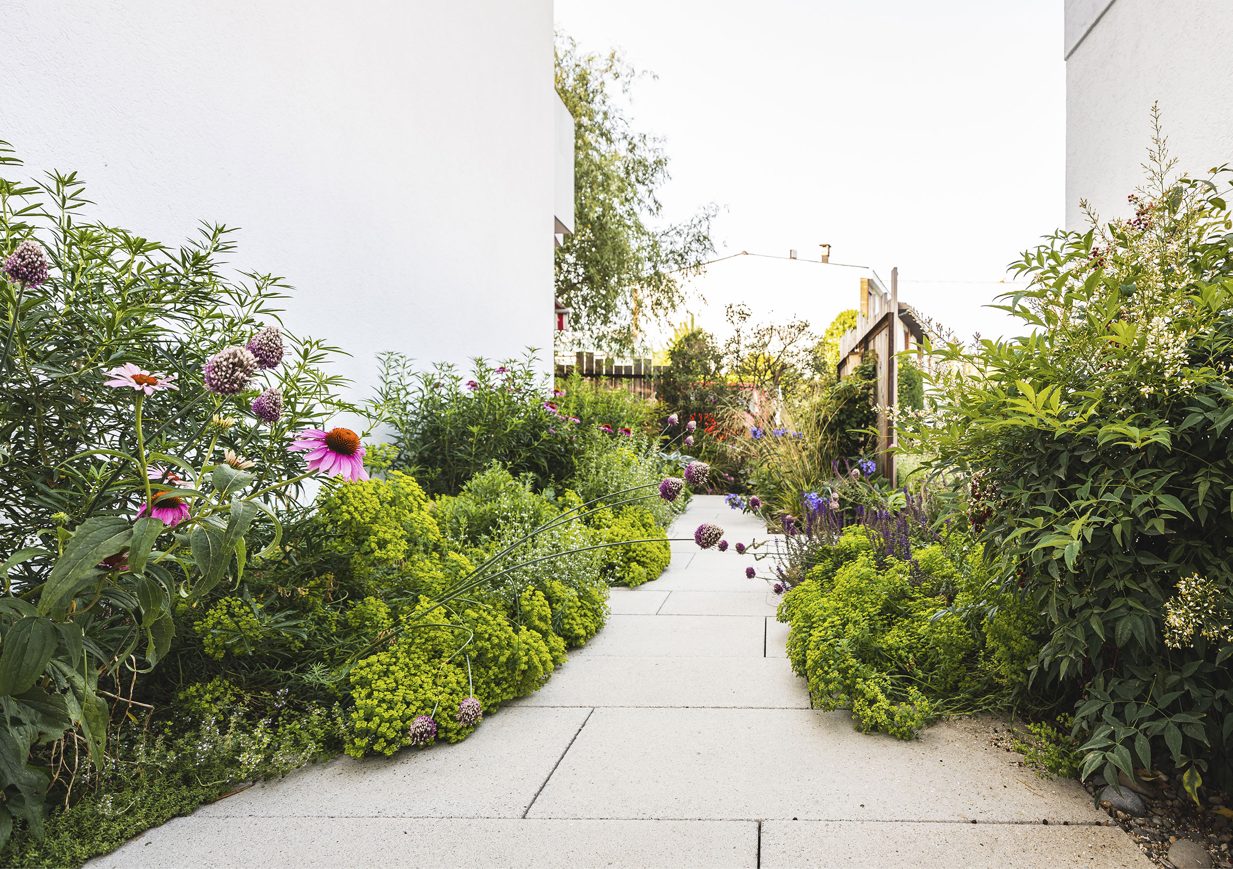 AvantGarten – Ihr professioneller Gärtner im Herzen von Basel